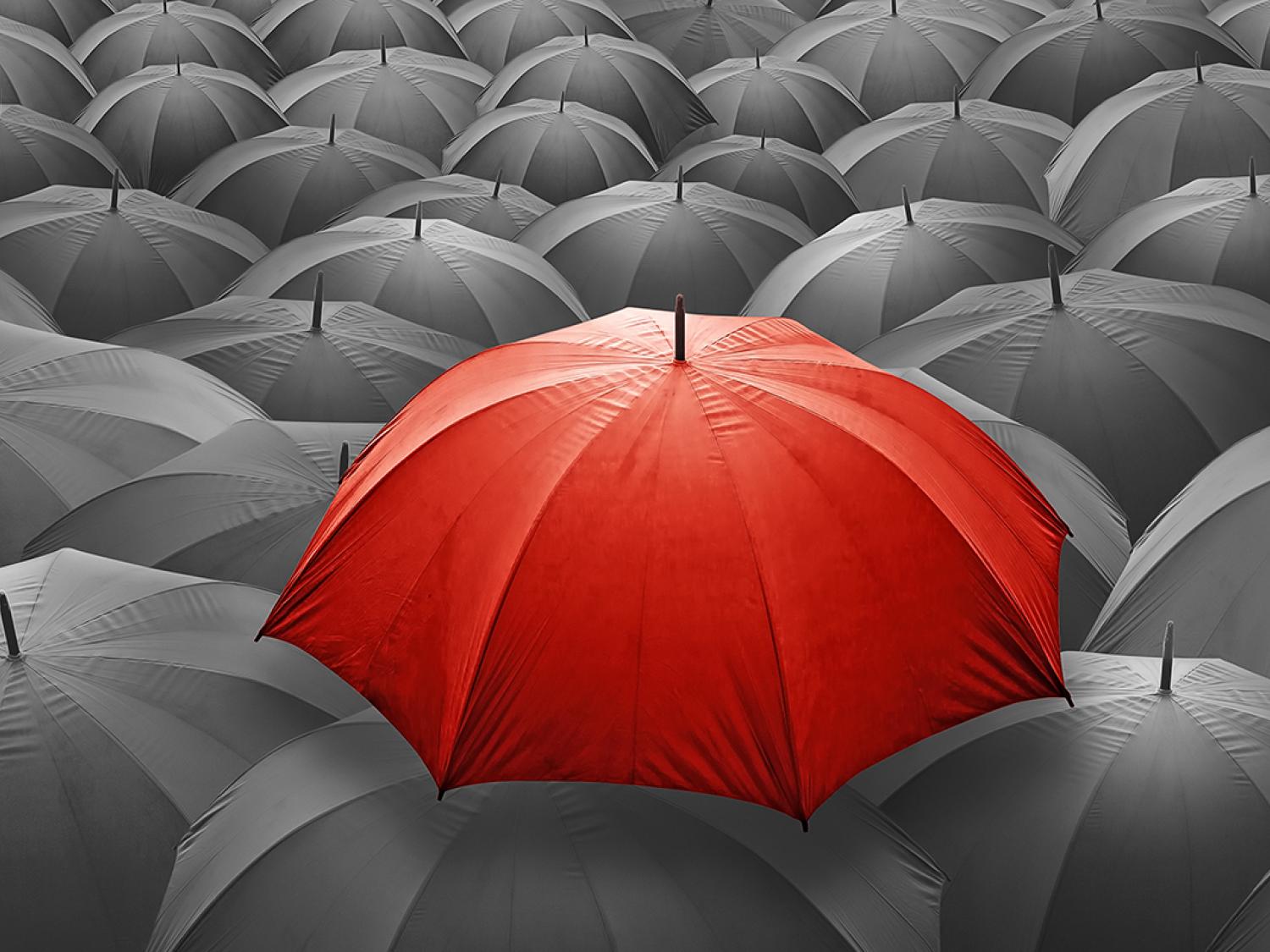 Use HMRC’s new tool to identify any umbrella pay problems | Low Incomes ...