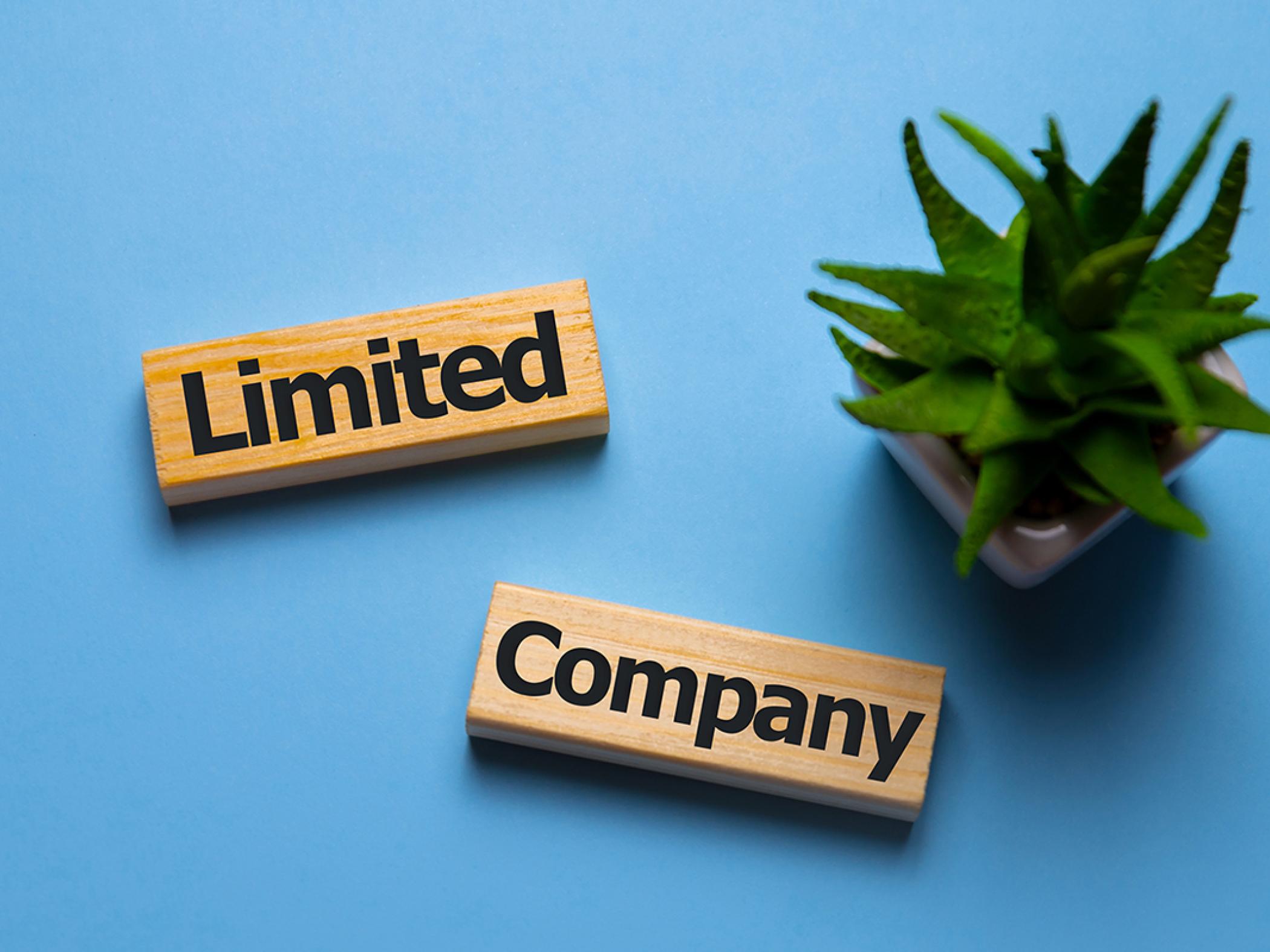 Limited companies and universal credit | Low Incomes Tax Reform Group